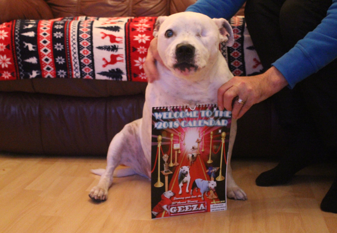 This cheeky Geeza proves that every dog has his days… in 2018 ...