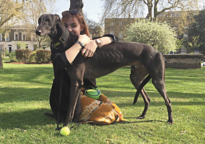 Highbury Fields is a dog-meet-dog world for Robin | Westminster Extra