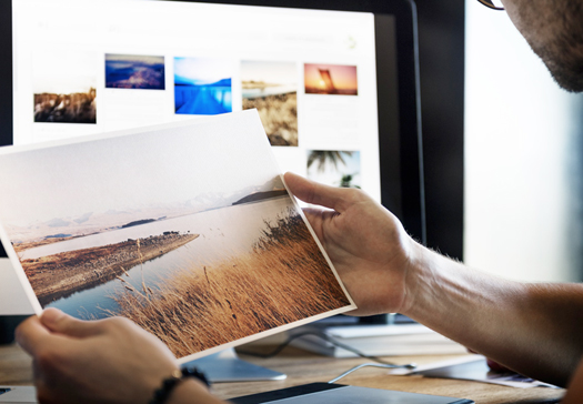 Picasa: a Free Photo Editing Tool for Windows 10 | Westminster Extra