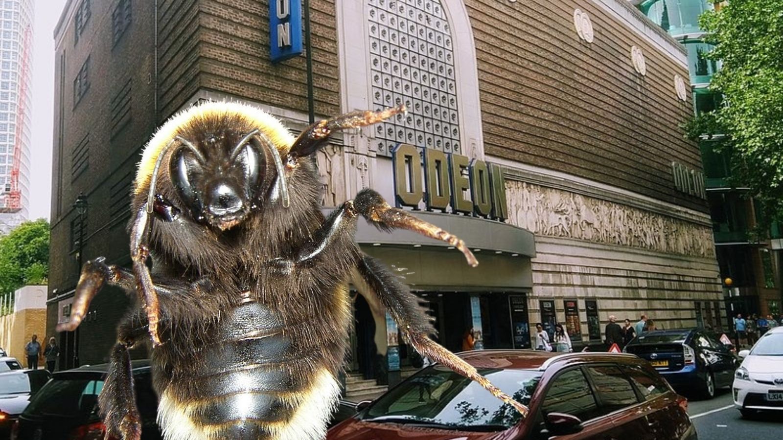 It’s revenge of the rare bees at cinema | Westminster Extra