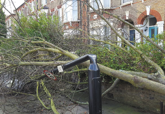 Canonbury pupils help the homeless | Westminster Extra