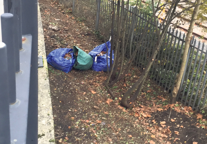 Thank you Viorel Fieran | Westminster Extra