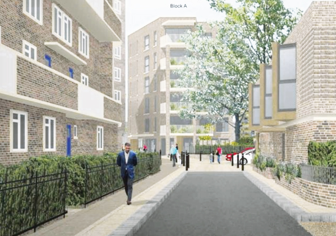 40 homes, but much-loved tree’s facing the chop | Westminster Extra